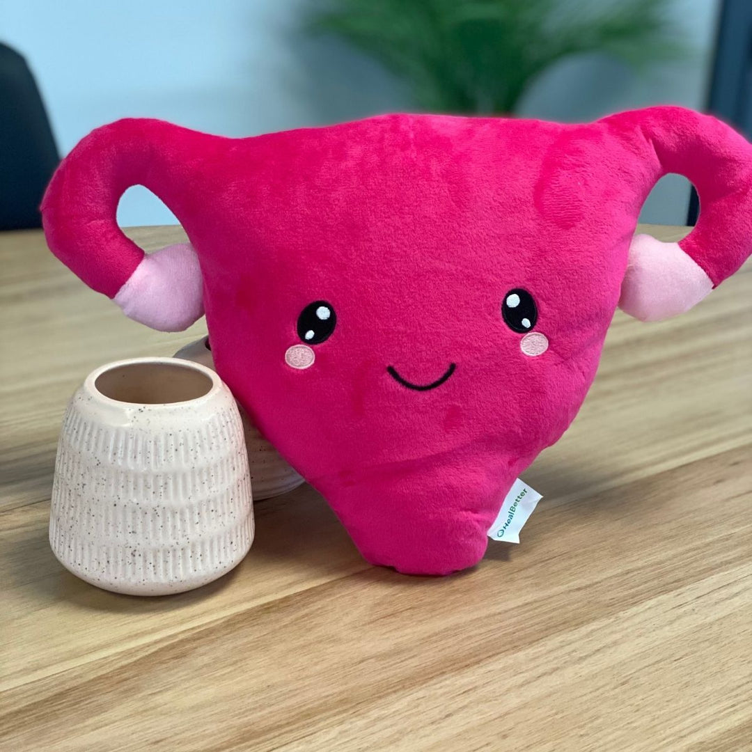 Plush Uterus Toy Cushion – Belly Bands